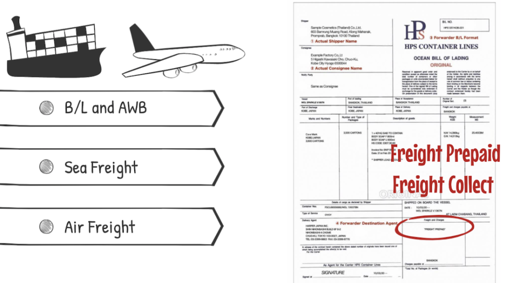 ความแตกต่างระหว่าง Freight Prepaid และ Freight Collect ｜ 【フォワーダー大学 】国際 ...